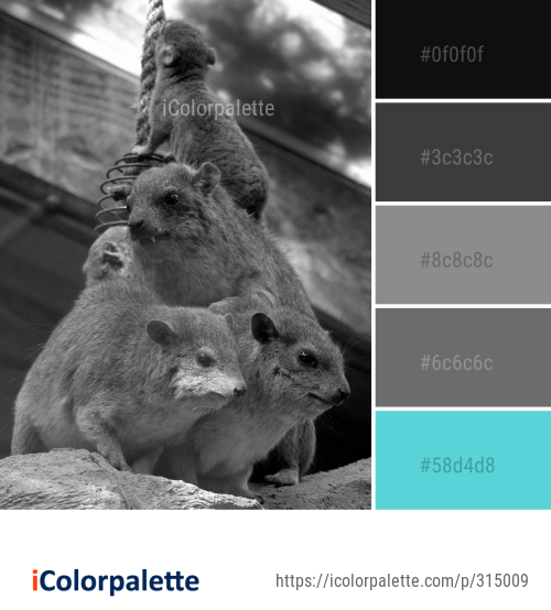 343+ Fur Color Palette ideas in 2025 | iColorPalette