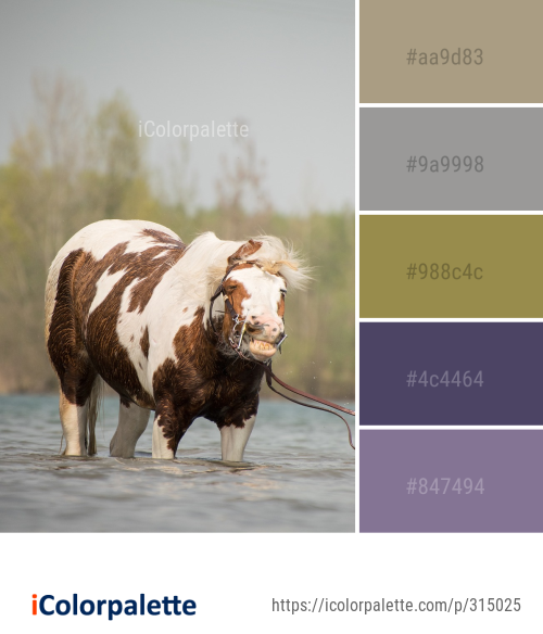 Color Palette Ideas from Cattle Like Mammal Wildlife Horn Image ...