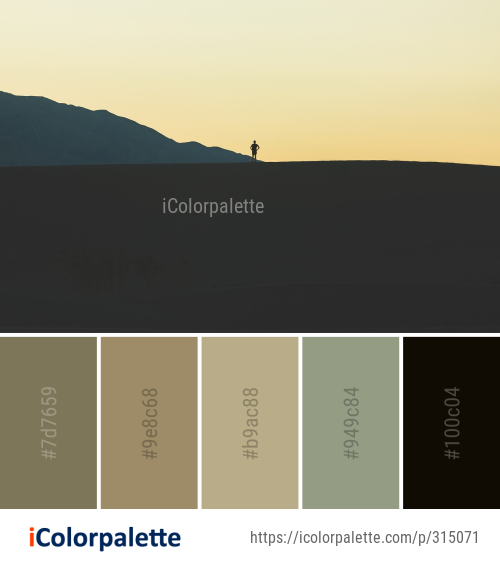 210+ Dusk Color Palette ideas in 2025 | iColorPalette