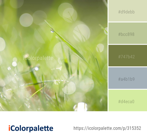 Color Palette Ideas from Water Green Dew Image | iColorpalette