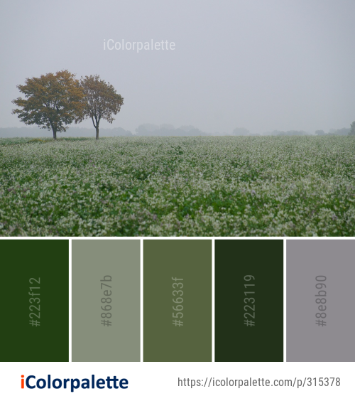 250+ Plain Color Palette ideas in 2026 | iColorPalette