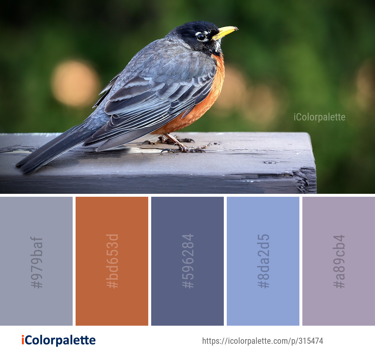Color Palette Ideas from Bird Fauna Beak Image | iColorpalette
