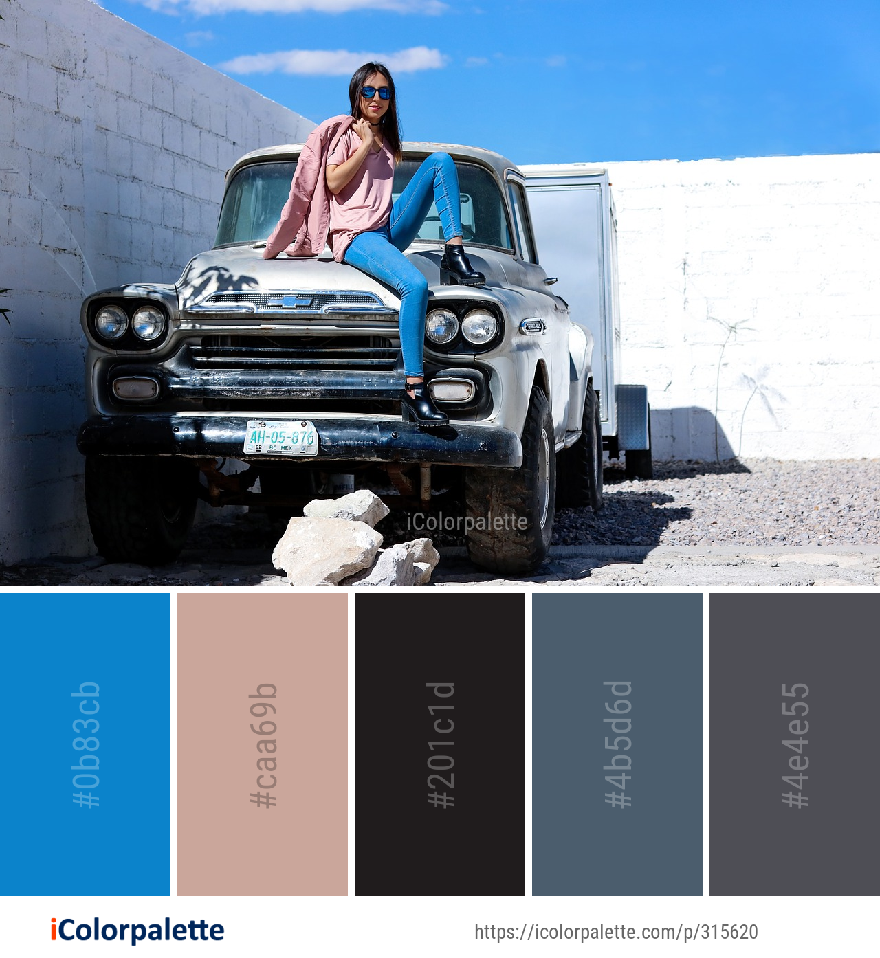 Color Palette Ideas from Car Motor Vehicle Image | iColorpalette