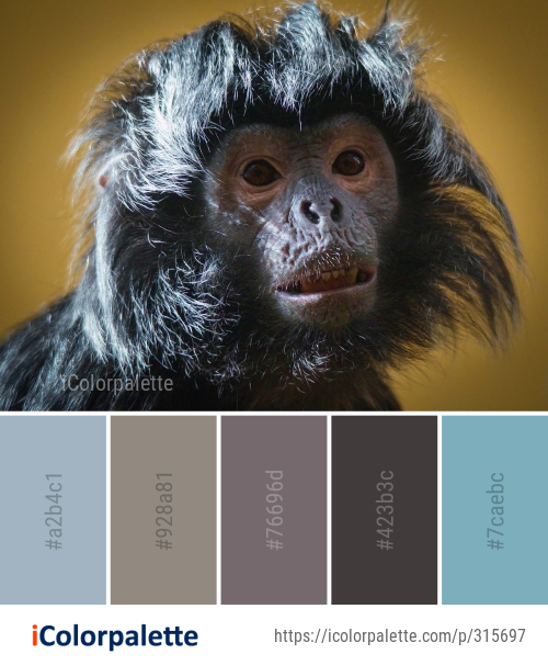 343+ Fur Color Palette ideas in 2026 | iColorPalette