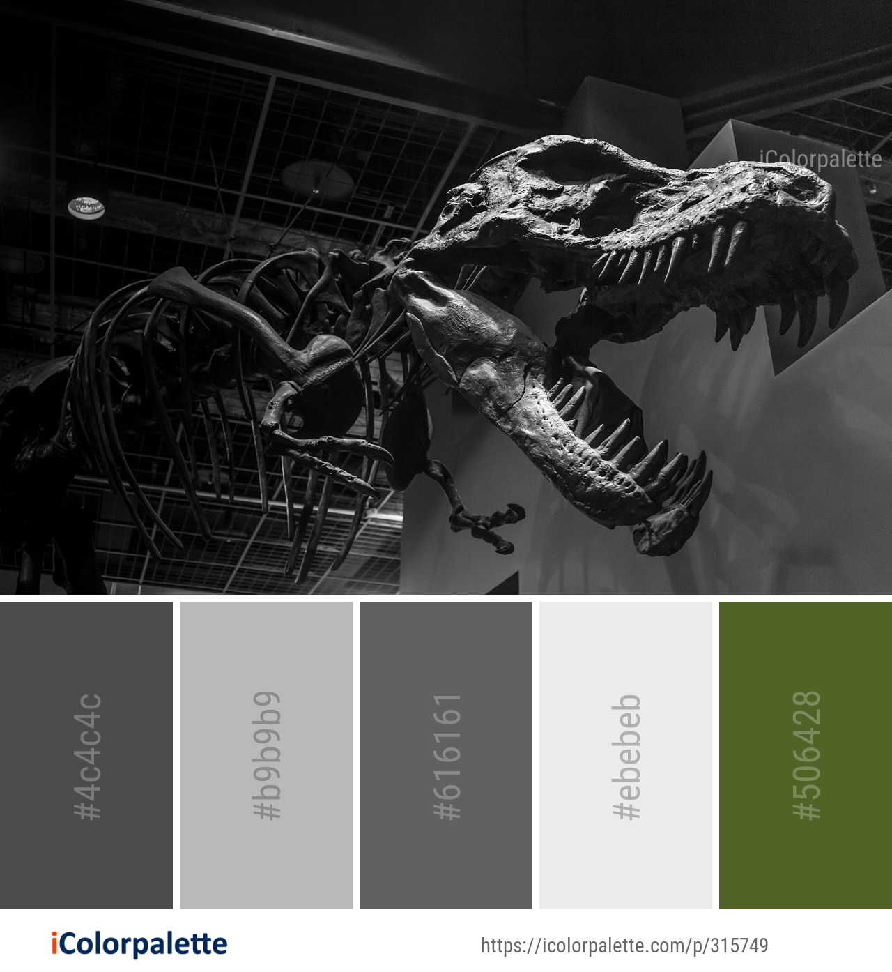9+ Dinosaur Color Palette ideas in 2025 | iColorPalette