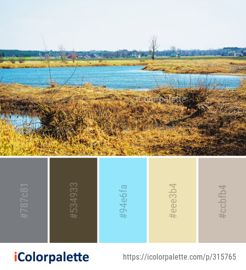 Color Palette Ideas from Wetland Marsh Water Image | iColorpalette