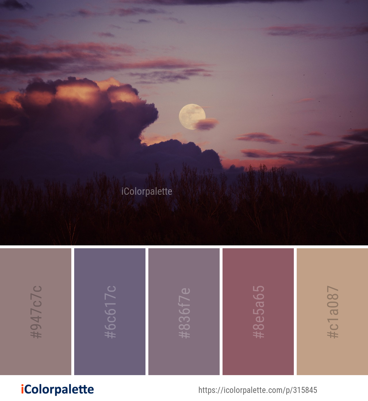 Color Palette Ideas from Sky Atmosphere Cloud Image | iColorpalette