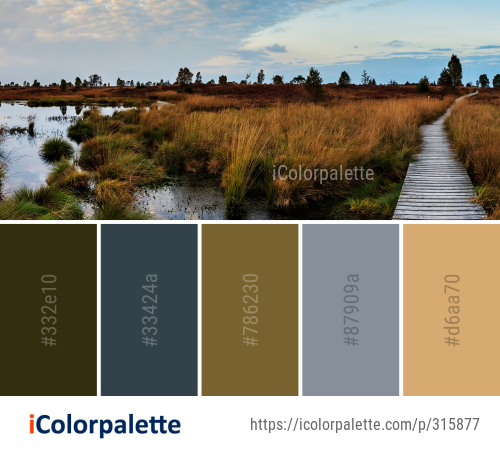 Color Palette Ideas from Wetland Water Reflection Image | iColorpalette
