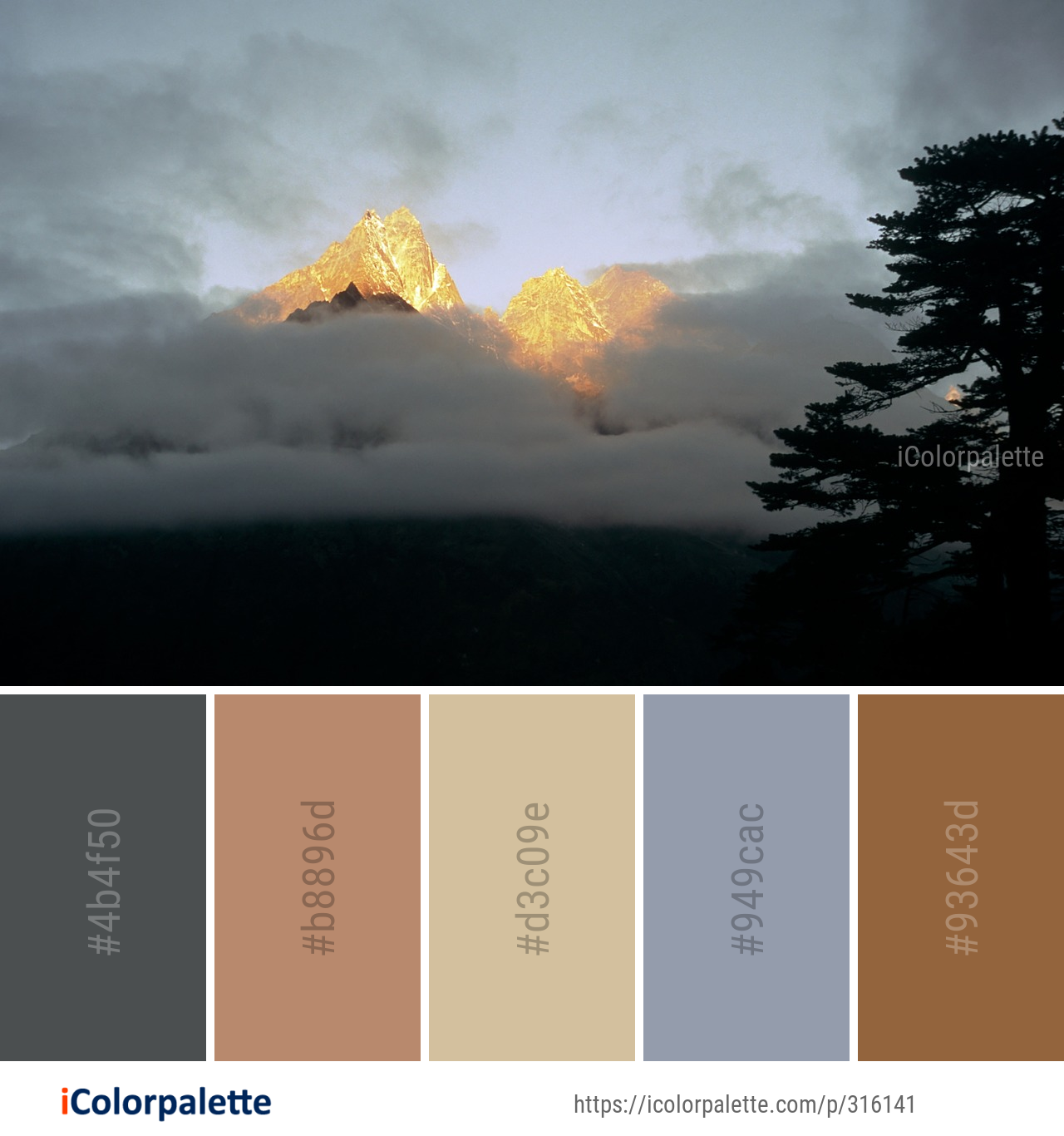 Color Palette Ideas from Sky Nature Cloud Image | iColorpalette