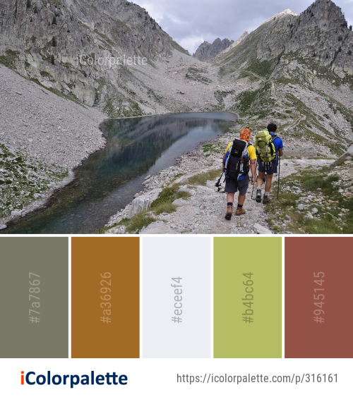 9+ Hiking Color Palette ideas in 2025 | iColorPalette