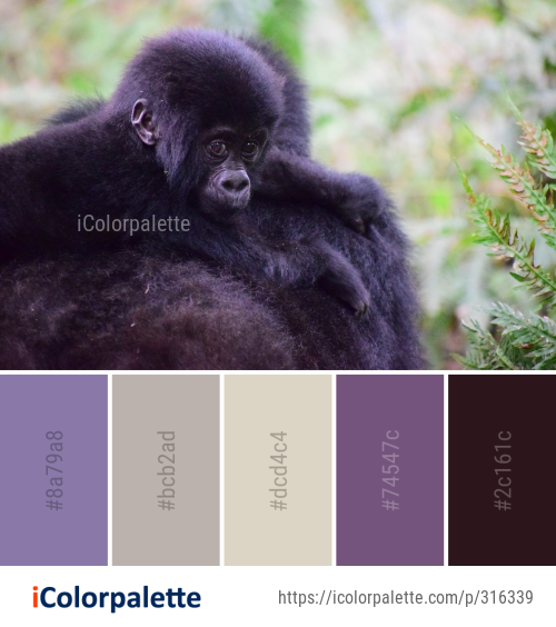 gorilla colors