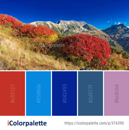 Color Palette Ideas from Leaf Nature Mountain Image | iColorpalette