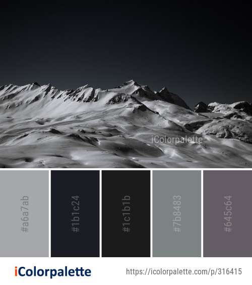 727+ White Color Palette ideas in 2026 | iColorPalette