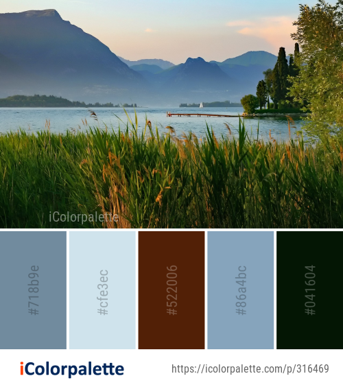 Color Palette Ideas from Nature Lake Water Image | iColorpalette