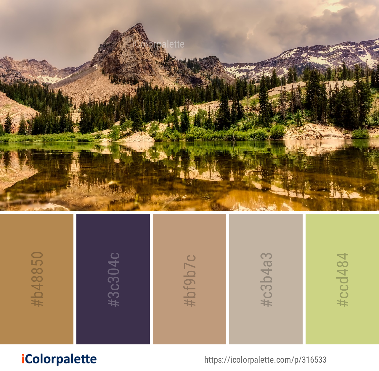 Color Palette Ideas from Reflection Nature Wilderness Image | iColorpalette