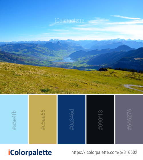 Color Palette Ideas from Highland Grassland Sky Image | iColorpalette