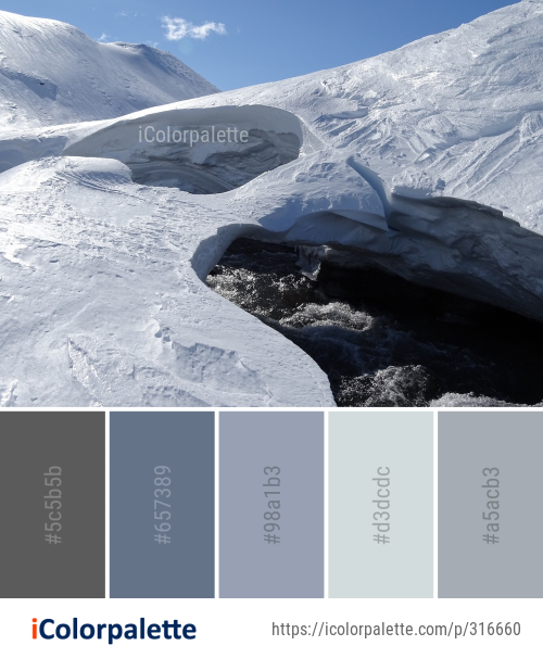 39+ Glacier Color Palette ideas in 2025 | iColorPalette