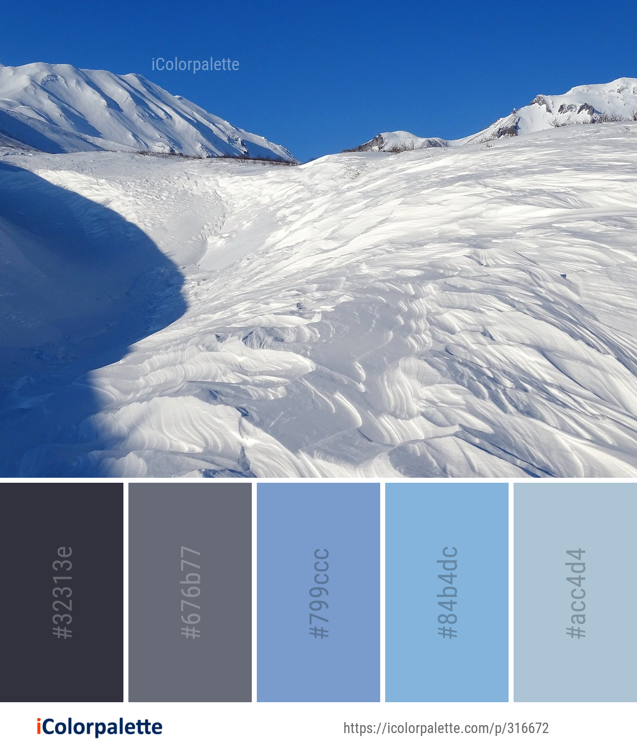 233+ Arctic Color Palette ideas in 2026 | iColorPalette