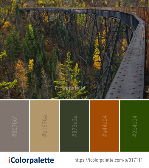 135+ Bridge Color Palette ideas in 2025 | iColorPalette