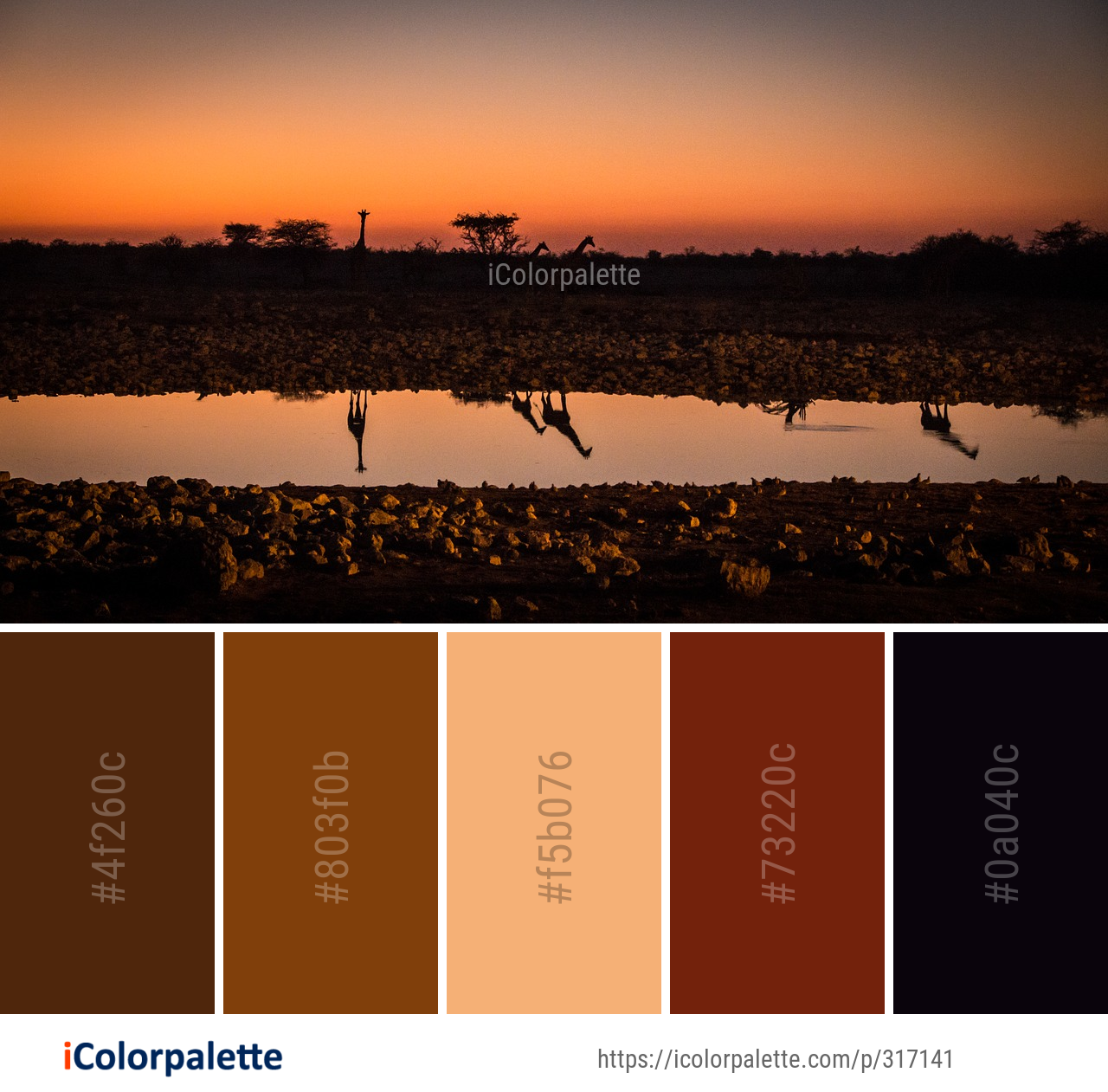 210+ Dusk Color Palette ideas in 2025 | iColorPalette