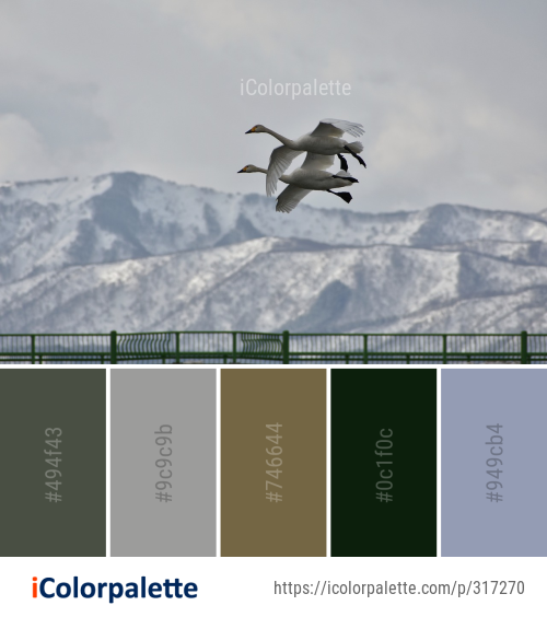 28+ Aviation Color Palette ideas in 2025 | iColorPalette