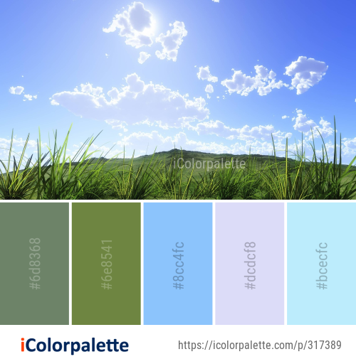 Color Palette Ideas from Sky Grassland Daytime Image | iColorpalette
