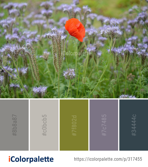 641+ Prairie Color Palette ideas in 2026 | iColorPalette