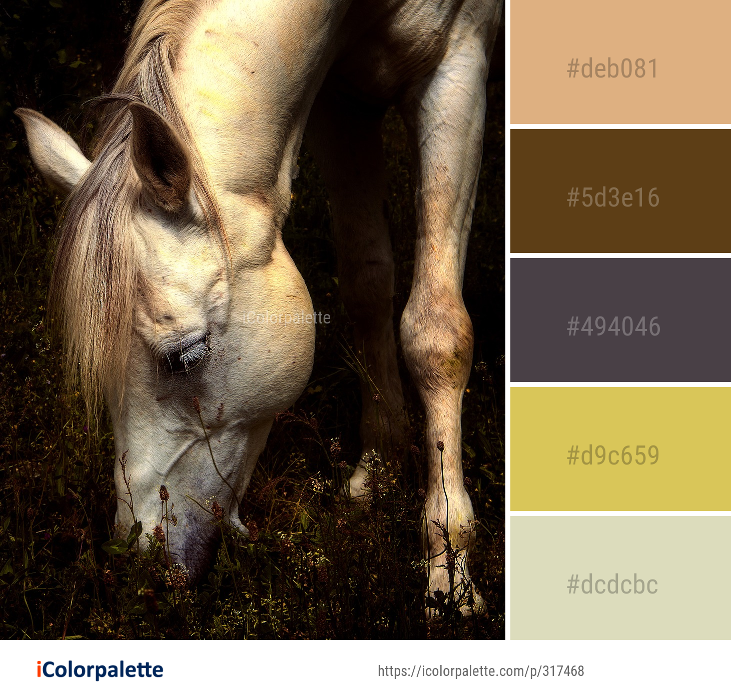 520+ Horse Color Palette ideas in 2026 | iColorPalette