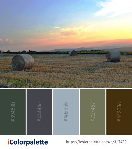 Color Palette Ideas from Field Sky Hay Image | iColorpalette