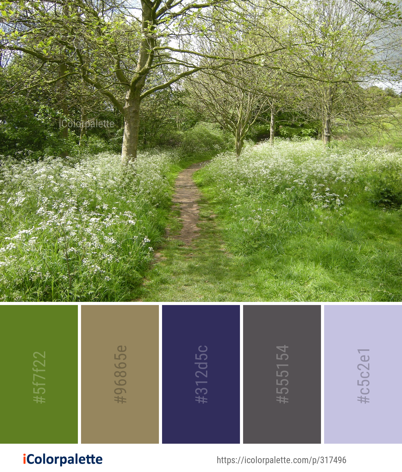 Color Palette Ideas from Vegetation Ecosystem Nature Reserve Image ...