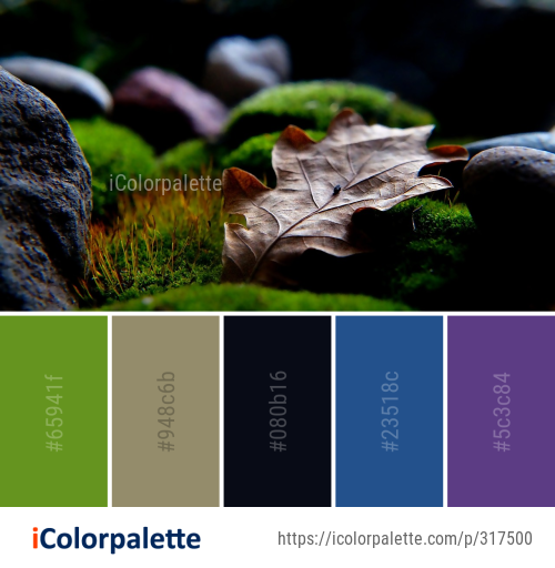 Color Palette Ideas from Leaf Nature Plant Image | iColorPalette