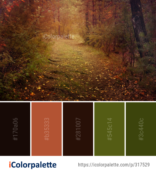 55 Nature Color Palettes | Curated collection of Color Palettes