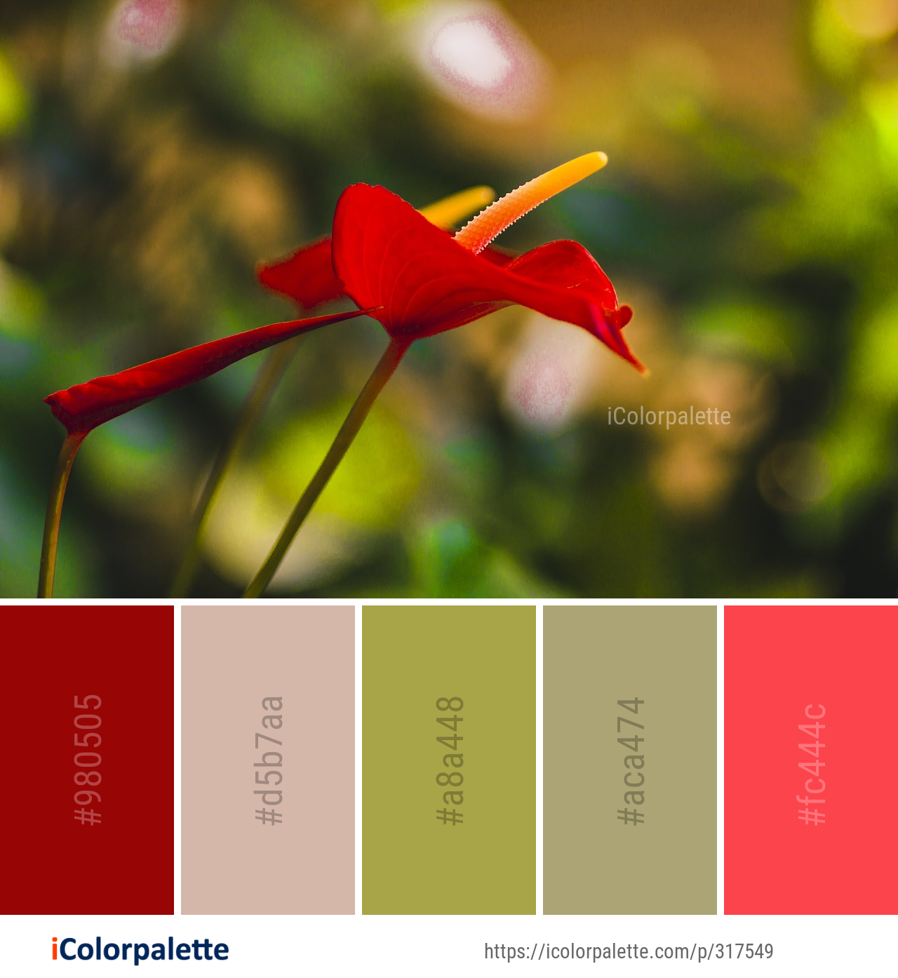 Color Palette Ideas from Red Flora Flower Image | iColorpalette