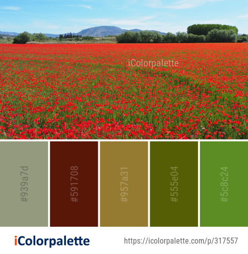 Color Palette Ideas from Flower Field Ecosystem Image | iColorpalette