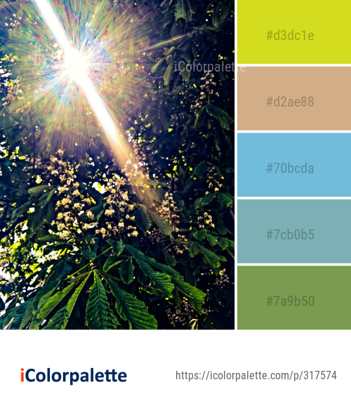 Color Palette Ideas from Nature Flora Leaf Image | iColorpalette