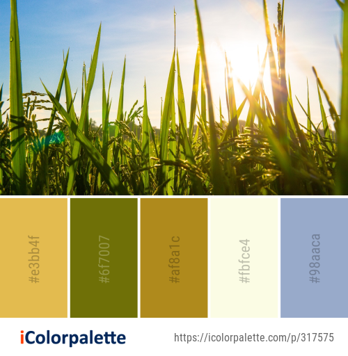 Color Palette Ideas from Grass Field Sky Image | iColorpalette