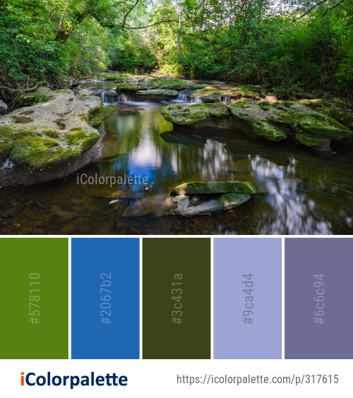 Color Palette Ideas from Water Stream Nature Image | iColorpalette