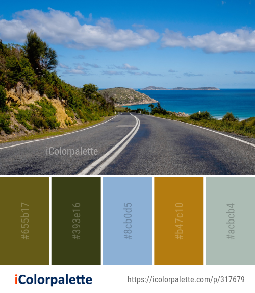 Color Palette Ideas from Road Sky Nature Image | iColorpalette