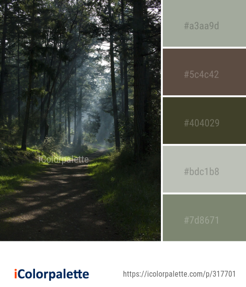 Color Palette Ideas from Woodland Forest Nature Image | iColorpalette