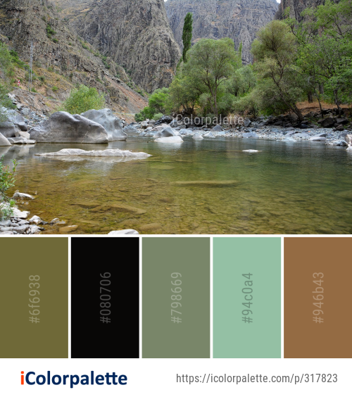 Color Palette Ideas from Water Nature River Image | iColorpalette