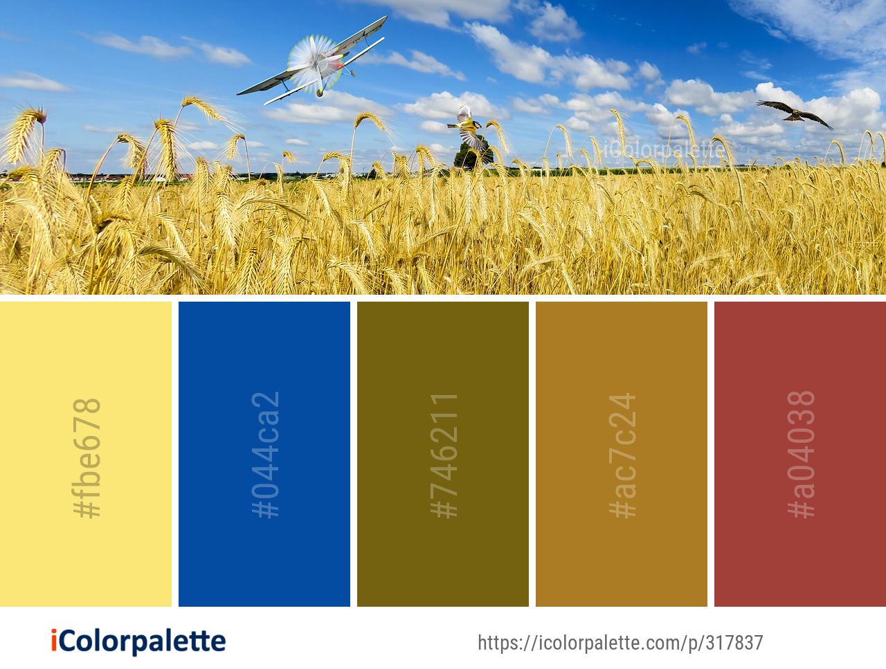 Color Palette Ideas from Sky Field Ecosystem Image | iColorpalette