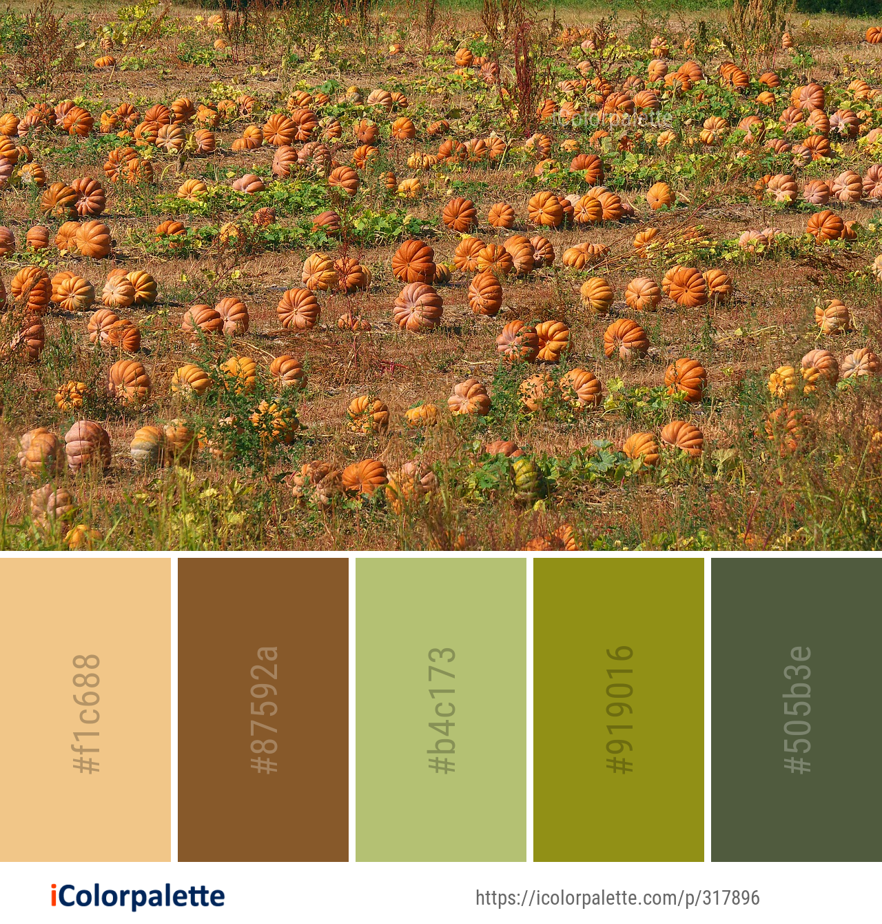 Color Palette Ideas from Ecosystem Vegetation Shrubland Image ...