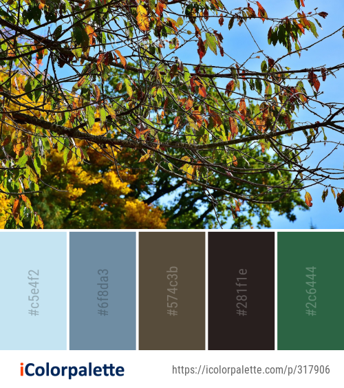 Color Palette Ideas from Branch Tree Flora Image | iColorpalette