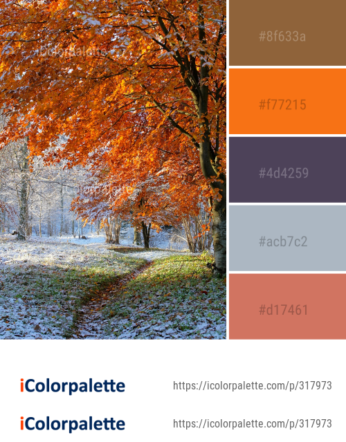 Color Palette Ideas from Leaf Nature Autumn Image | iColorpalette