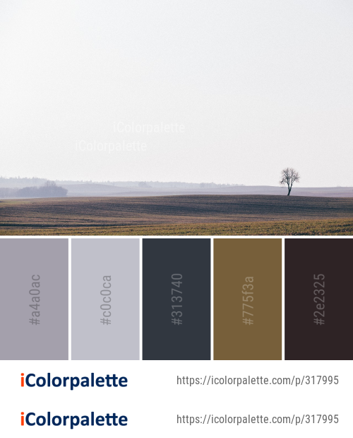 250+ Plain Color Palette ideas in 2026 | iColorPalette
