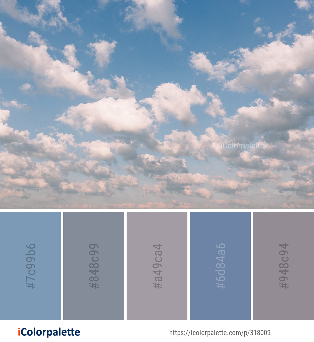 Color Palette Ideas from Sky Cloud Daytime Image | iColorpalette