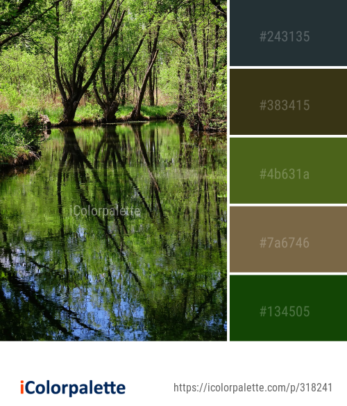 swamp – iColorpalette