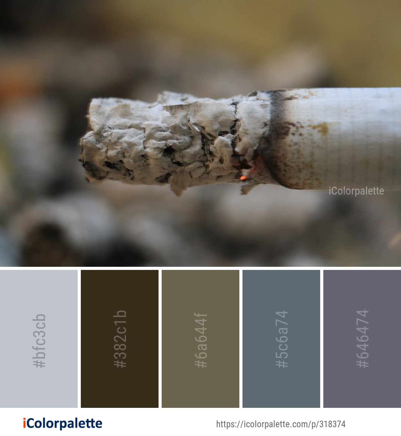 Color Palette Ideas from Cigarette Macro Photography Twig Image ...