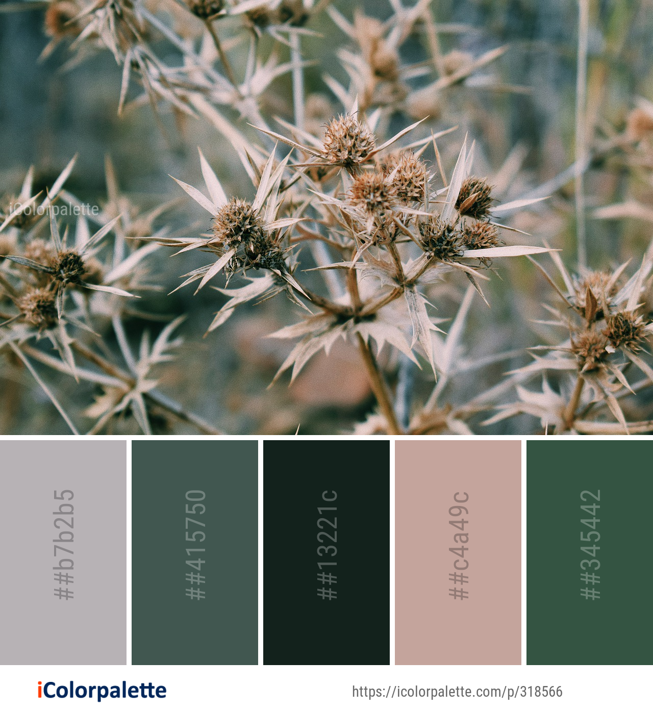 Color Palette Ideas from Flora Plant Vegetation Image | iColorpalette
