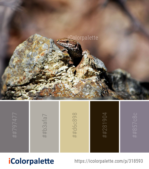 Color Palette Ideas from Reptile Scaled Lizard Image | iColorPalette